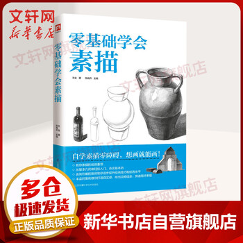 零基础学会素描
