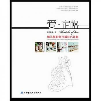 爱·定格 婚礼摄影师拍摄技巧详解(让婚礼摄影师和新人都从中受益的一本书