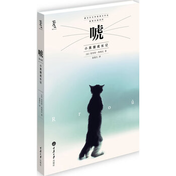 唬小黑猫成长记