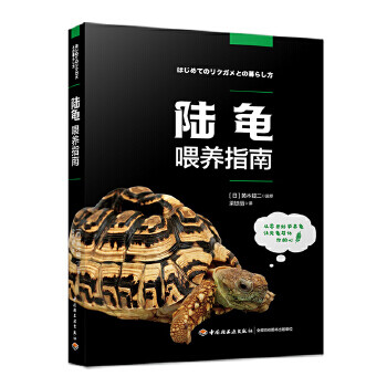 陆龟喂养指南