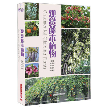 观赏藤本植物 陈恒彬,张凤金,阮志平 等 著