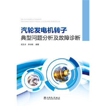 汽轮发电机转子典型问题分析及故障诊断
