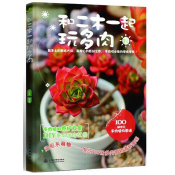【正版图书】和二木一起玩多肉