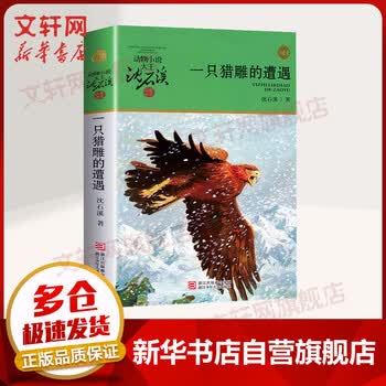 一只猎雕的遭遇 升级版 动物小说大王沈石溪品藏书系