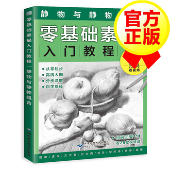 零基础素描入门教程 静物与静物组合