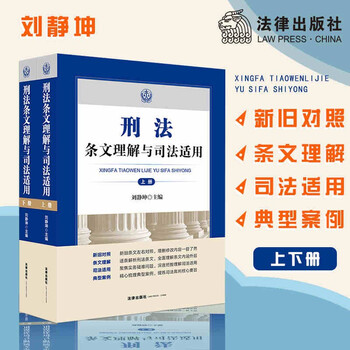 2021刑法条文理解与司法适用（上下册） 新书