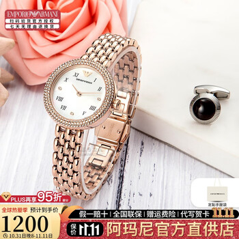 Emporio Armani阿玛尼手表女士 甜甜圈满天星欧美表石英腕表 生日礼物送女友 复古小金表AR11355【图片 价格 品牌 报价】-京东