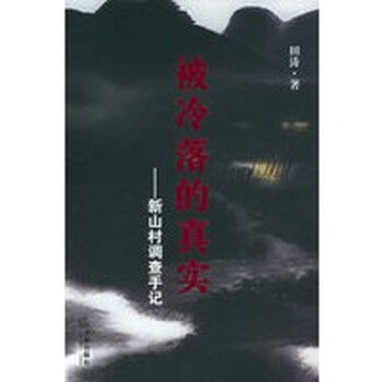 被冷落的真实：新山村调查手记