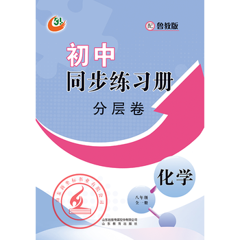 2021版初中五四制化学《同步练习册·分层检测卷》山东教育出版社 化学鲁教版八年级全一册五四制