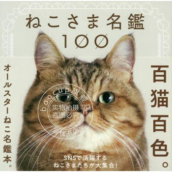 进口日语 猫咪名鉴 猫主子 ねこさま名鑑100 萌猫大图鉴