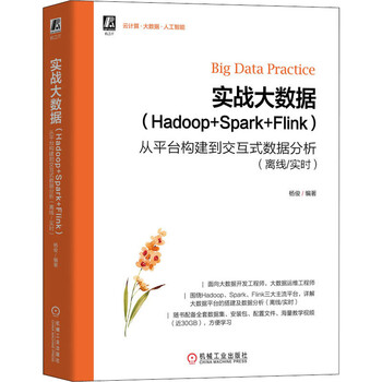 实战大数据(Hadoop+Spark+Flink) 从平台构建到交互式数据分析(