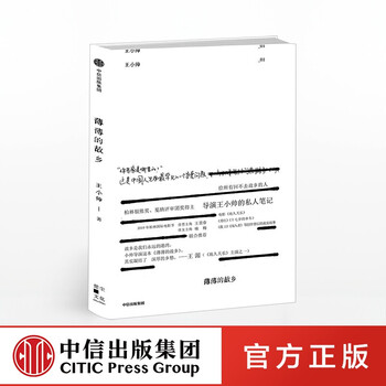 薄薄的故乡 王小帅 中信出版社