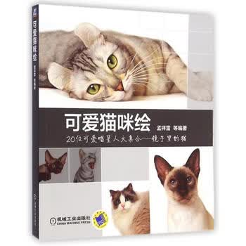 可爱猫咪绘 孟祥雷  书籍