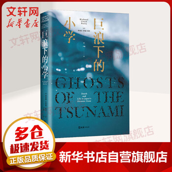 【包邮】巨浪下的小学