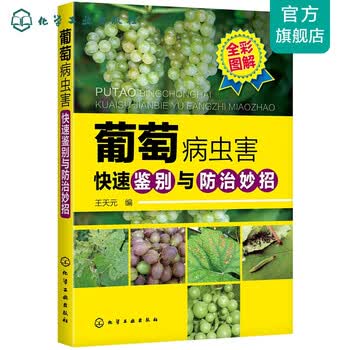 葡萄病虫害快速鉴别与防治妙招