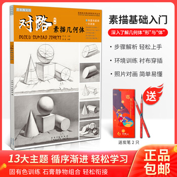 对路素描几何体 石膏静物形体照片对画临摹范本单体结构零基础入门图册卡初学者熊飞说图片籍功夫经典到位满分师语美术教材书