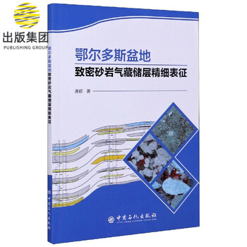 鄂尔多斯盆地致密砂岩气藏储层精细表征
