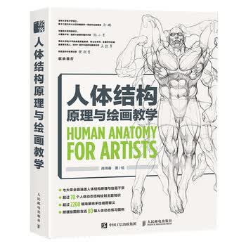 画画的春哥人体结构原理与绘画教学 人体造型手绘技法教程零基础铅笔素描漫画伯里曼漫画教程入门自学临摹艺