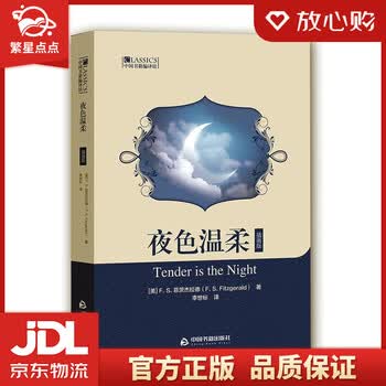 中国书籍编译馆：夜色温柔 (美)F.S.菲茨杰拉德(F.S.Fitzge 