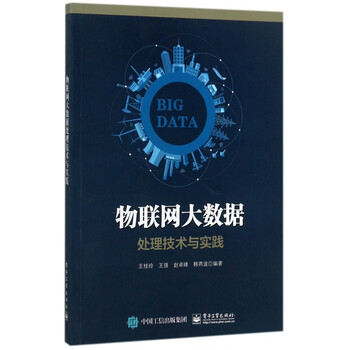 物联网大数据处理技术与实践