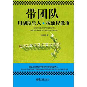 带团队用制度管人，按流程做事 孙科柳　著