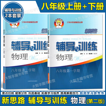 新思路辅导与训练八年级上下学期 物理 8年级二学期 含答案