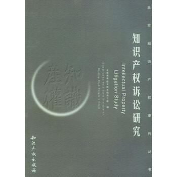 知识产权诉讼研究