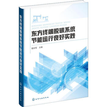 正版图书 东方终端脱碳系统节能运行良好实践 曾庆军 化学工业出版社 9787122334671