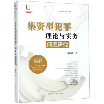 RT正版 集资型犯罪理论与实务问题研究