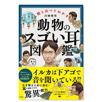 【】动物神奇耳朵图鉴 人間と比べてわかる 動物のスゴい耳図鑑日文原版图书书籍艺术