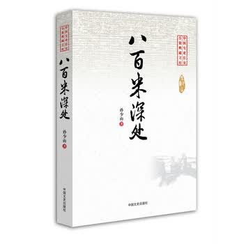 八百米深处(中国专业作家小说典藏文库)