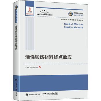 活性毁伤材料终点效应 图书