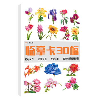 高清临摹卡30幅彩铅花卉篇2022一线美誉教学书彩色铅笔手绘技法入门教程步骤对应美术绘画图片素材唯美