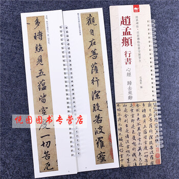 经典碑帖近距离临帖摹字练习卡 赵孟頫行书心经-归去来辞