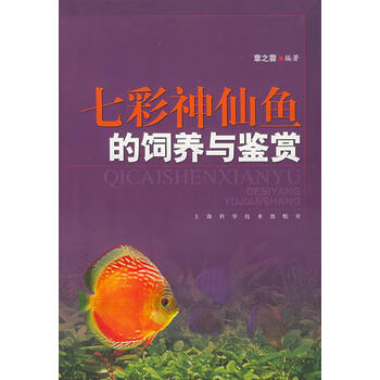 七彩神仙鱼的饲养与鉴赏