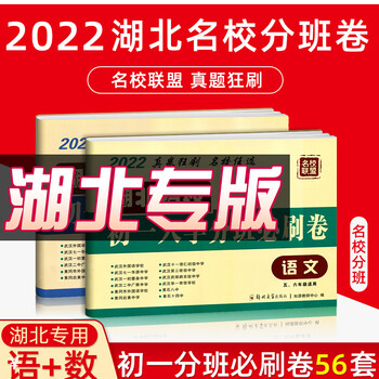 2022小升初真题卷数学语文全套2本 湖北名校小升初真题试卷五六年级毕业生考试初一入学分班必刷卷武汉 2022小升初真题卷数学语文全套2本