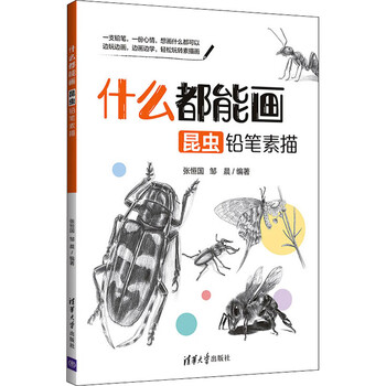 什么都能画:昆虫铅笔素描 铅笔素描系列
