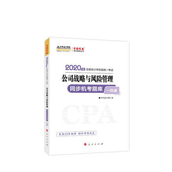 公司战略与风险管理