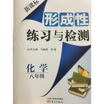 形成性练习与检测 八年级化学