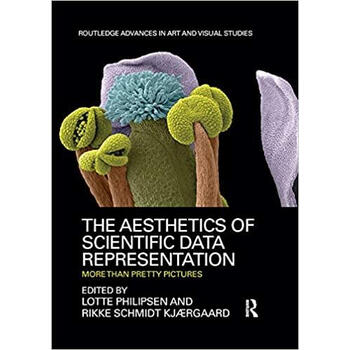 The Aesthetics of Scientific Data Representation