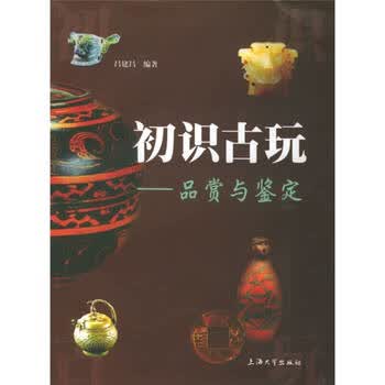 初识古玩 品赏与鉴定 吕建昌