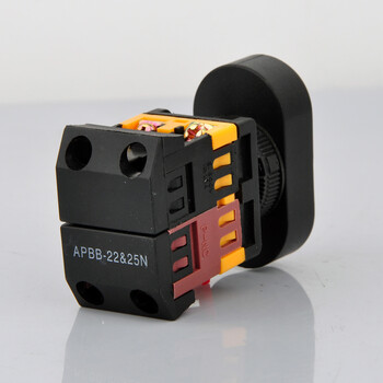 APBB-22N-25N 双键带灯马可按钮开关双位带灯自复开关10A 自复位APBB-22&25N【图片 价格 品牌 报价】-京东