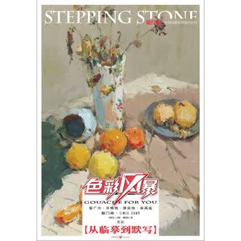 色彩风暴 从临摹到默写