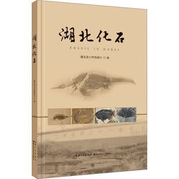 湖北化石(精) 图书