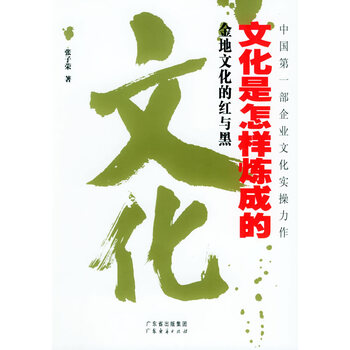 文化是怎样炼成的:金地文化的红与黑 张子荣 著【正版书】