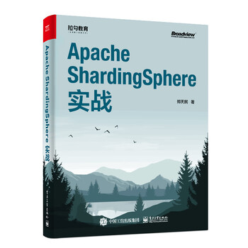 Apache ShardingSphere实战(博文视点出品)