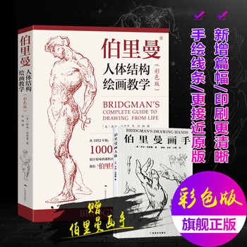 伯里曼人体结构绘画教学彩色版 高清还原图画稿版 人体结构造型手绘技法艺用人体构解剖人物模型素描速写临摹动漫美术结构教程书