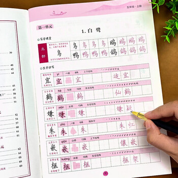 五年级上册同步字帖练字帖练字人教版小学课本写字课课练专项训练小学生语文练字本人教版天天练入学字帖描红 小学生同步字帖五上