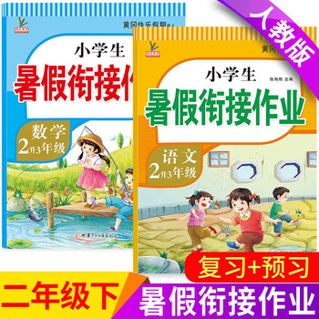 新版二年级暑假作业下册语文数学全套2册人教版小学生二年级暑假衔接2升3复习预习暑假阅读理解训练 2升3套装两本