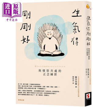 生气得刚刚好 与愤怒共处的正念练习 港台原版 藤井英雄 世潮